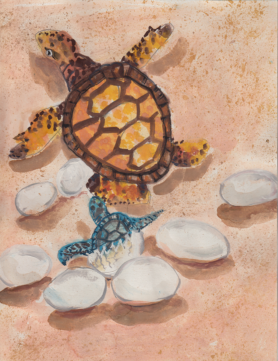 Childrens Art Contest